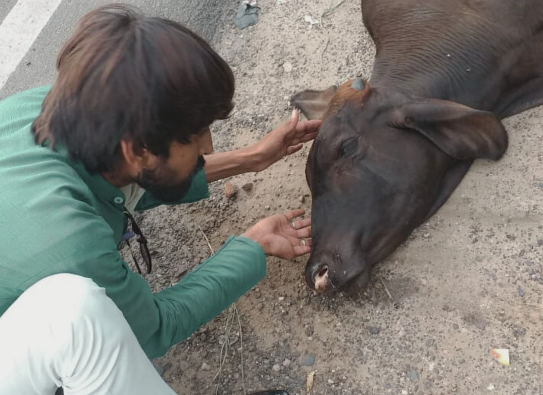 Jeevandhara Foundation Seva Trust - NGO in Ahmedabad | Empowering ...